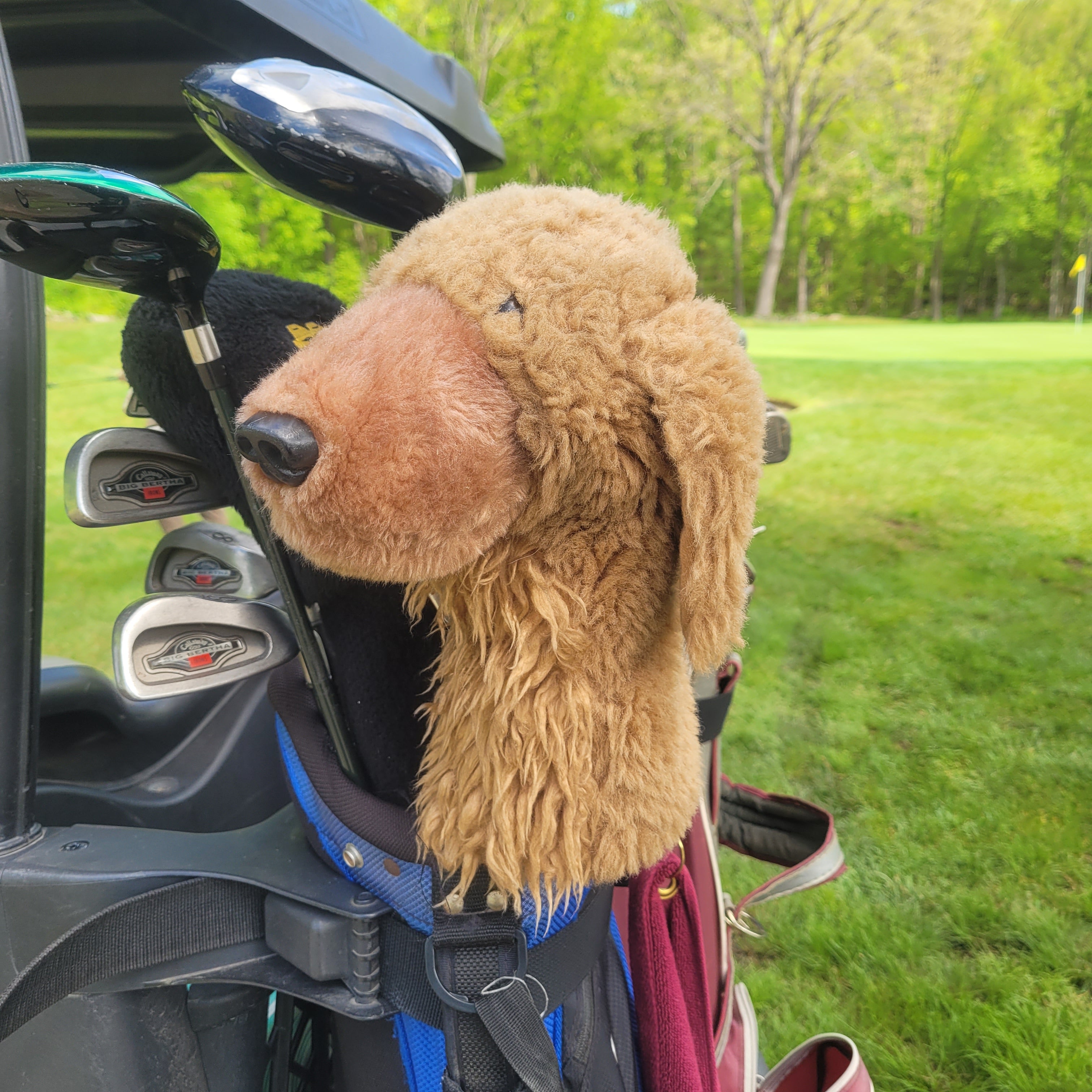 Golf Tournament Sponsorship | Medway Community Farm