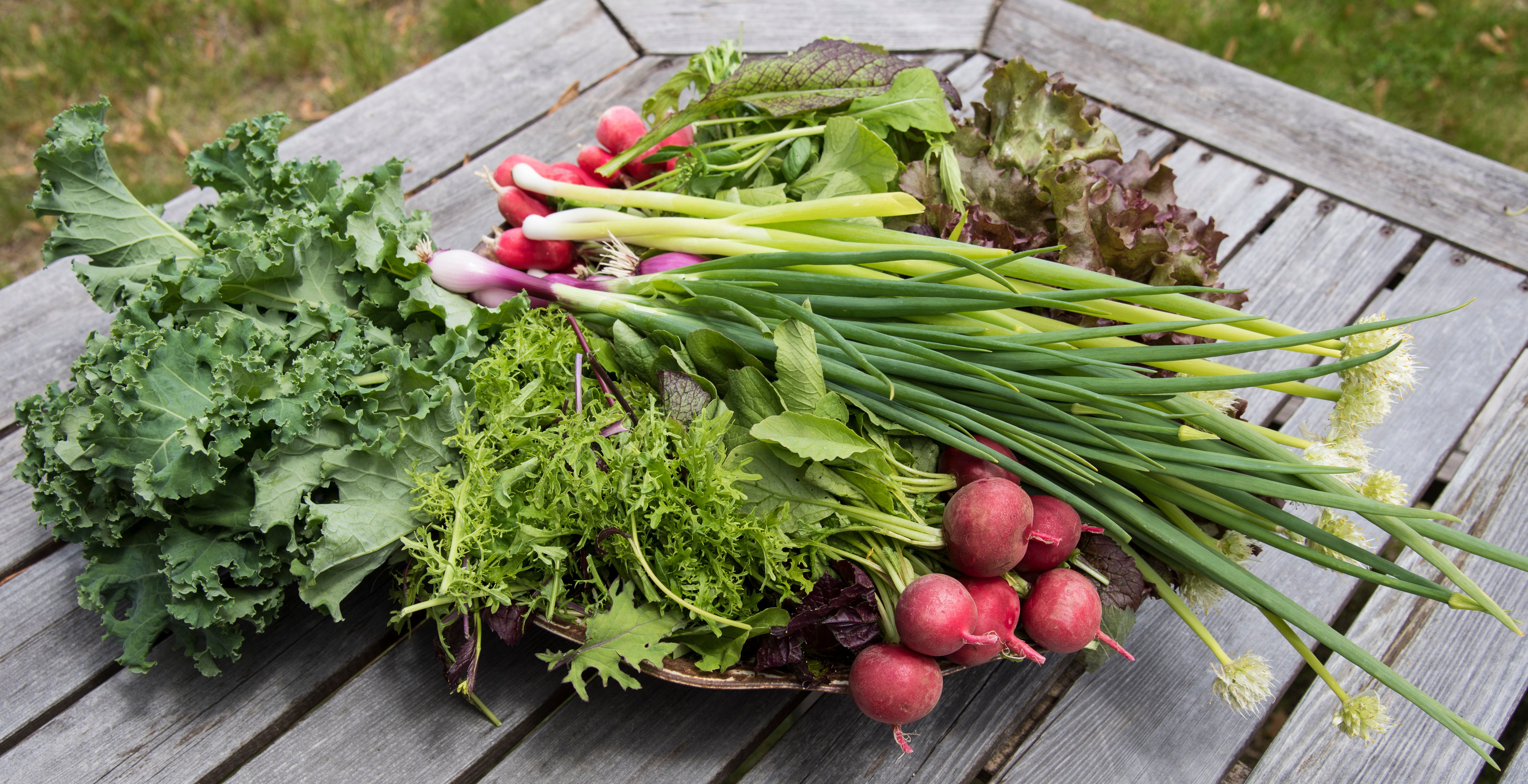 Spring Share | Medway Community Farm