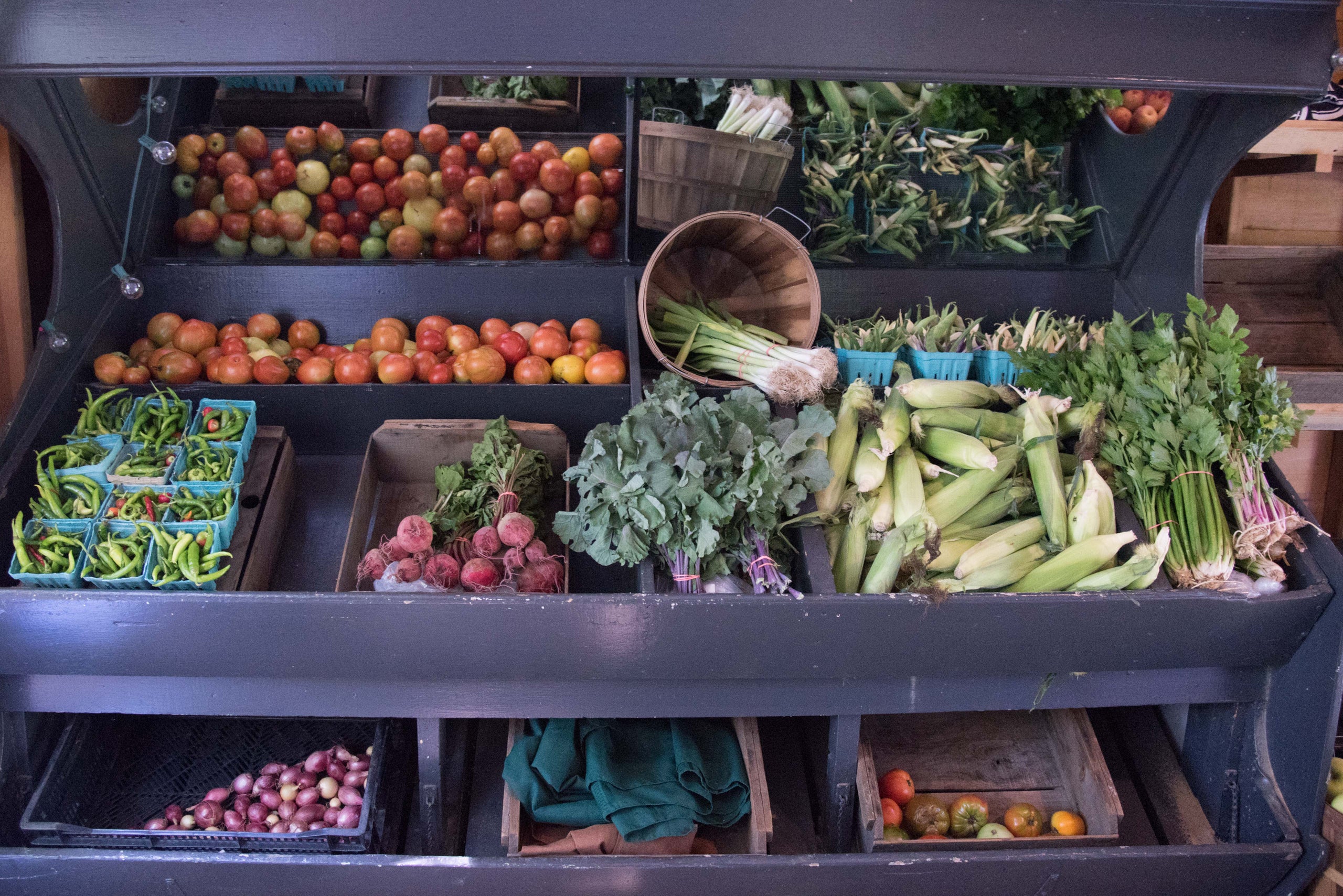 Farm Stand Free Choice CSA | Medway Community Farm